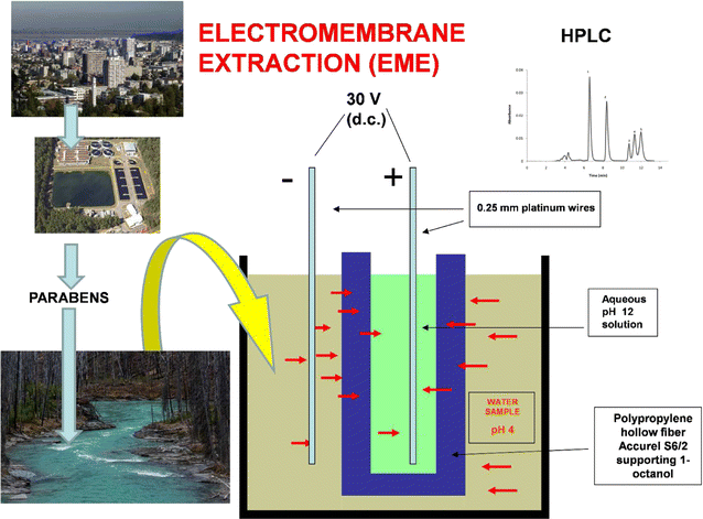 Electromembrane extraction for the determination of parabens in water ...