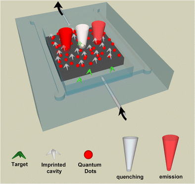 The detection method for small molecules coupled with a molecularly ...