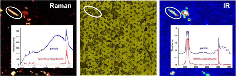 Analysis of environmental microplastics by vibrational ...