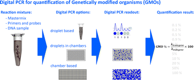 Critical assessment of digital PCR for the detection and quantification ...
