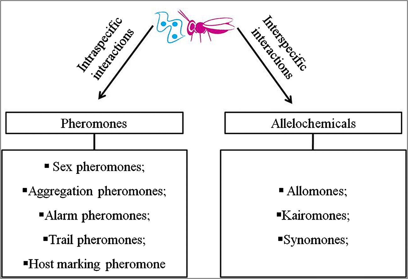 Tools for detecting insect semiochemicals: a review | SpringerLink