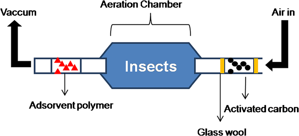 Tools for detecting insect semiochemicals: a review | SpringerLink