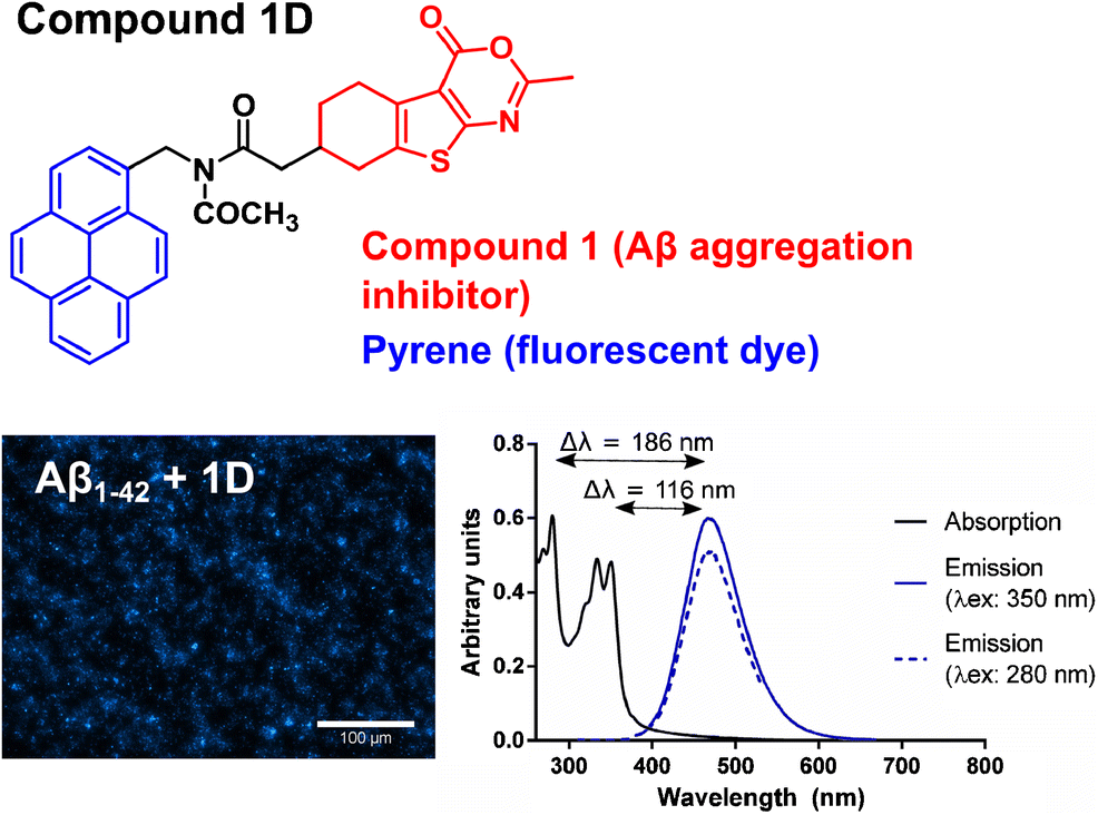 A pyrene-inhibitor fluorescent probe with large Stokes shift for the ...