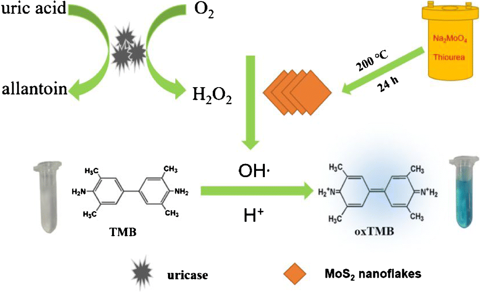 A highly selective and sensitive colorimetric detection of uric acid in ...