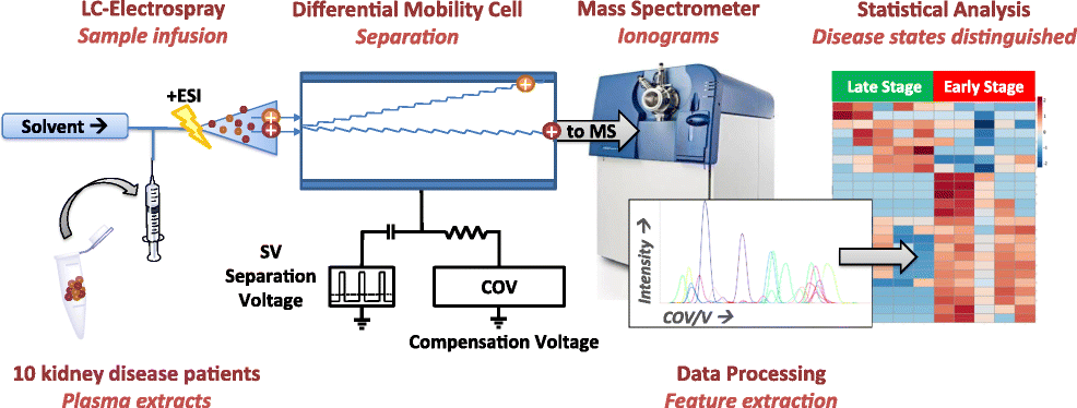 Application of differential mobility-mass spectrometry for untargeted ...