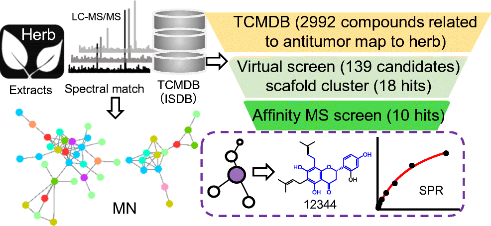 Comprehensive TCM molecular networking based on MS/MS in silico spectra ...