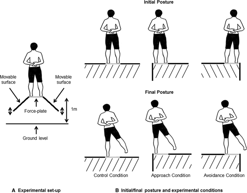 Directional specificity of postural threat on anticipatory postural ...