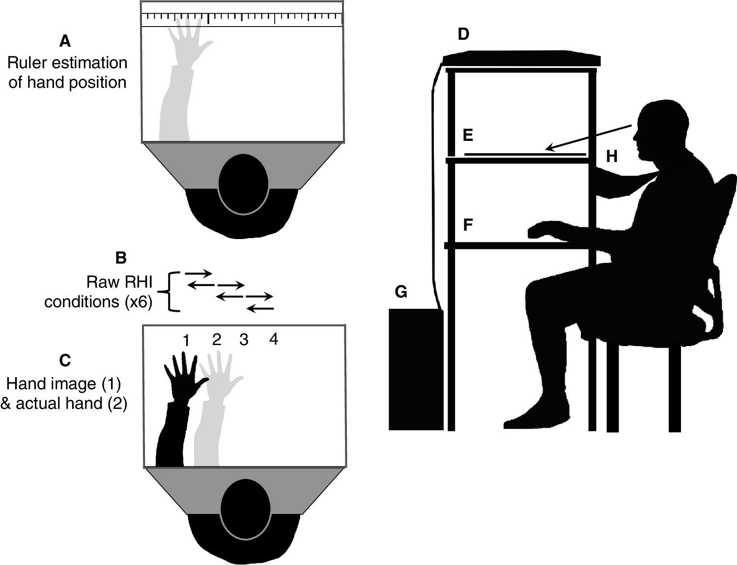 Handedness modulates proprioceptive drift in the rubber hand illusion ...