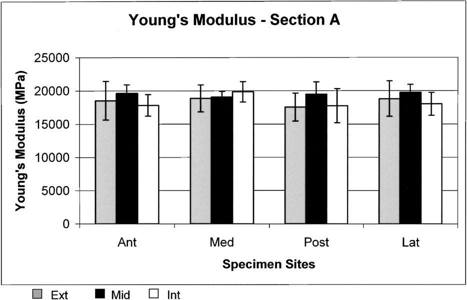 The Longitudinal Young’s Modulus of Cortical Bone in the Midshaft of ...