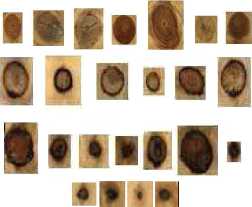 Wood defect classification based on image analysis and support vector ...