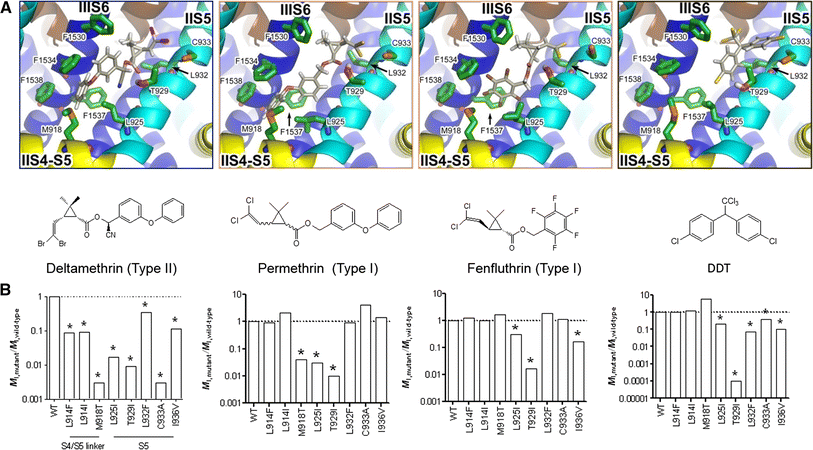 Voltage-gated sodium channels as targets for pyrethroid insecticides ...