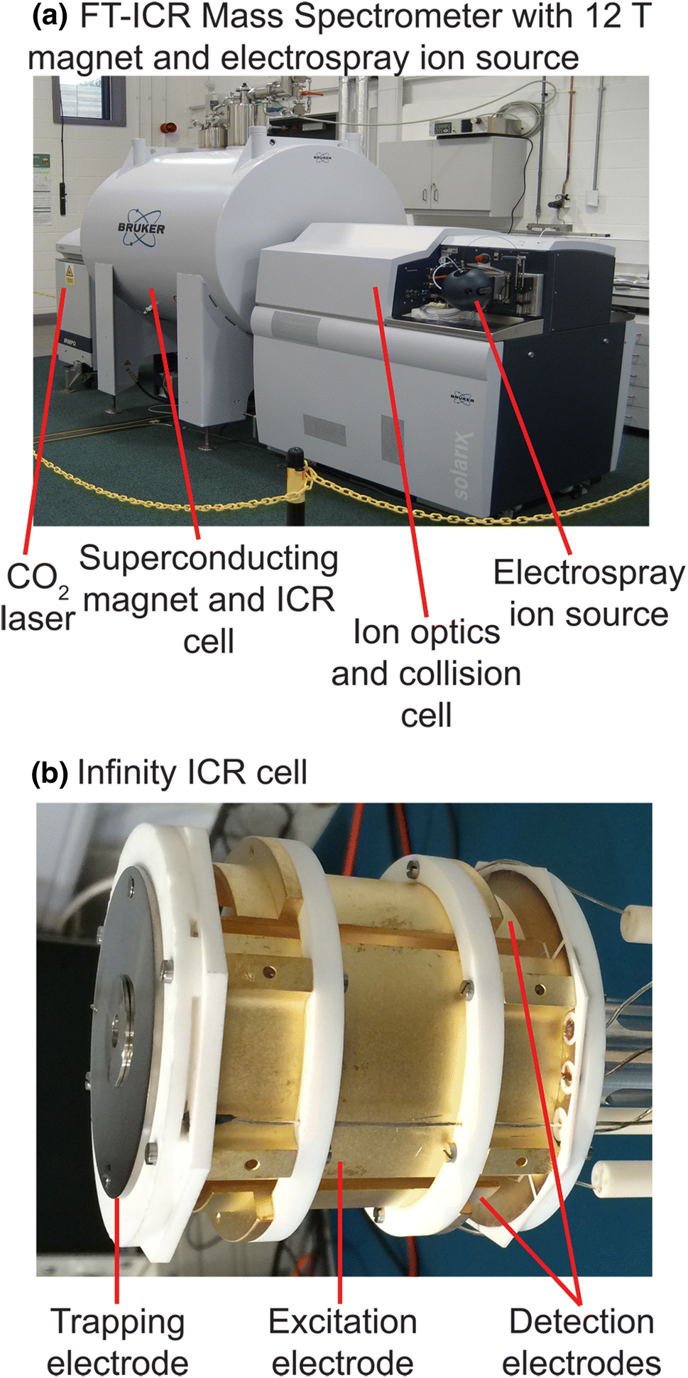Two-dimensional mass spectrometry: new perspectives for tandem mass ...