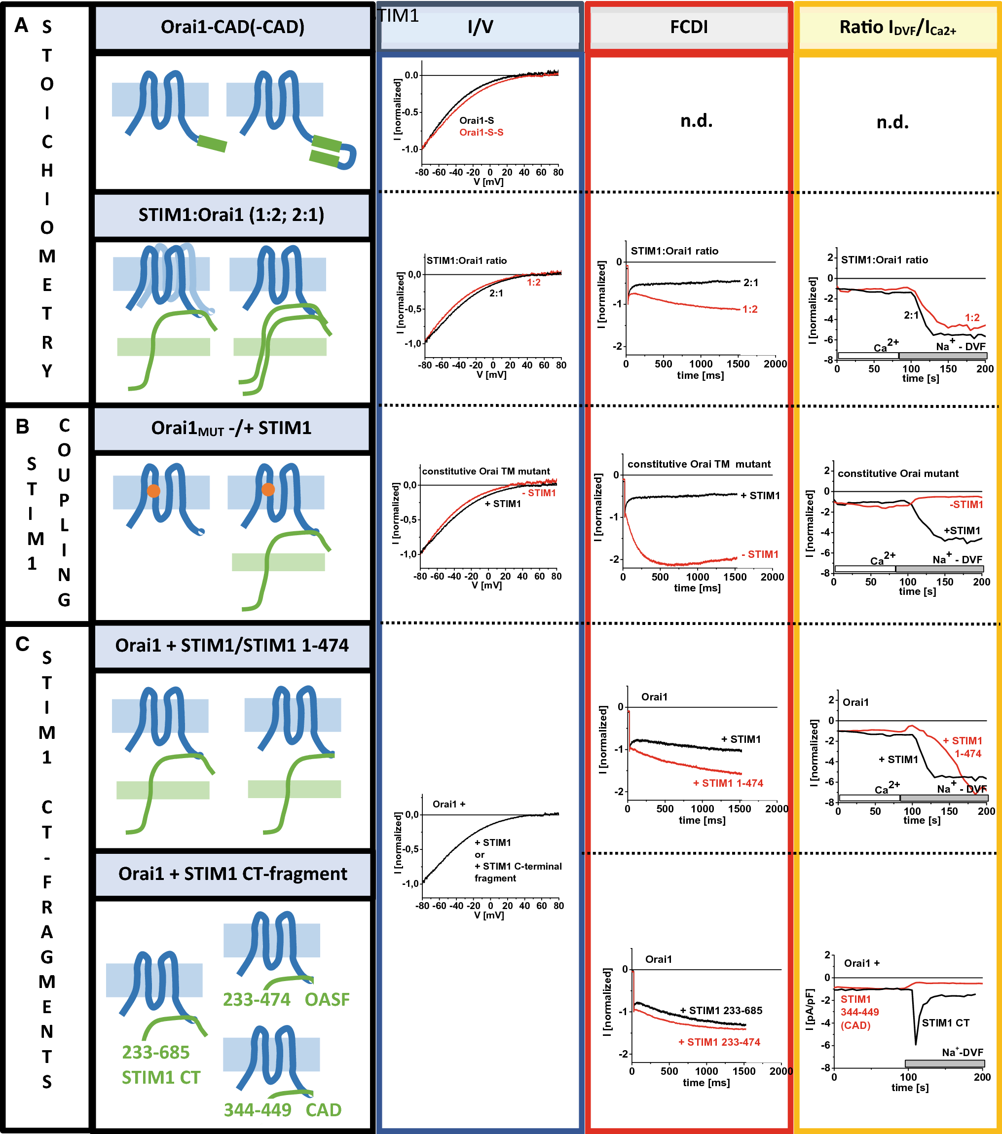 Critical parameters maintaining authentic CRAC channel hallmarks ...