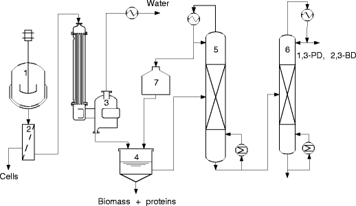 Present state and perspective of downstream processing of biologically produced 1,3-propanediol ...