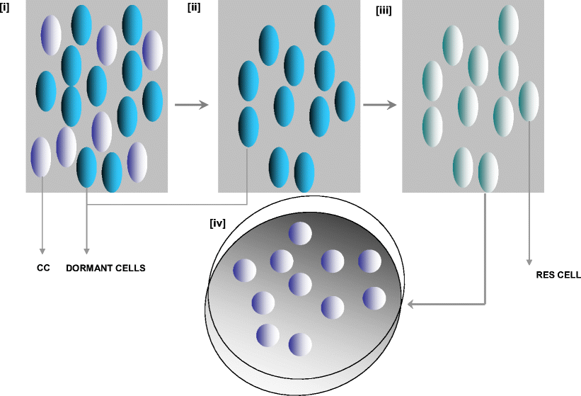A dormancy state in nonspore-forming bacteria | SpringerLink