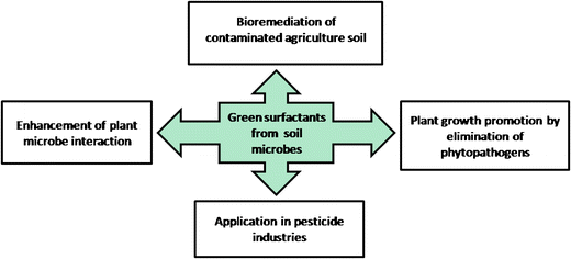 Biosurfactants in agriculture | SpringerLink