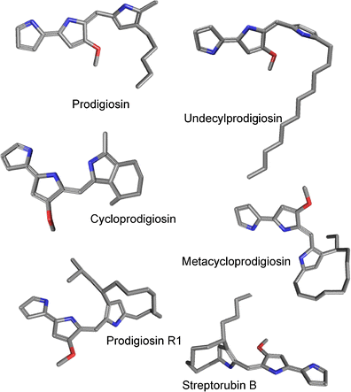 Properties and applications of undecylprodigiosin and other bacterial ...