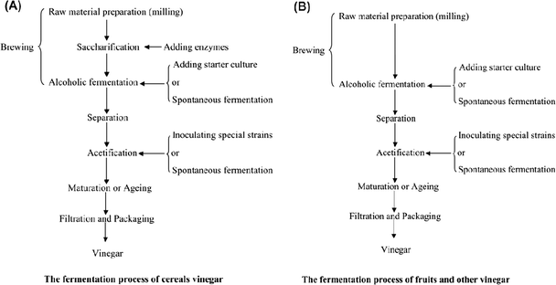 Microbial diversity and their roles in the vinegar fermentation process ...