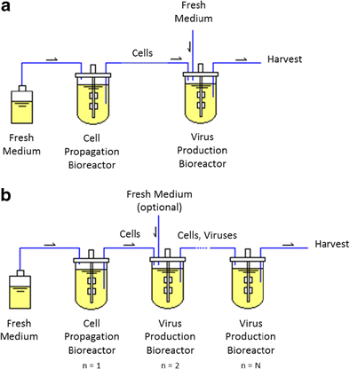 Bioreactors for high cell density and continuous multi-stage ...