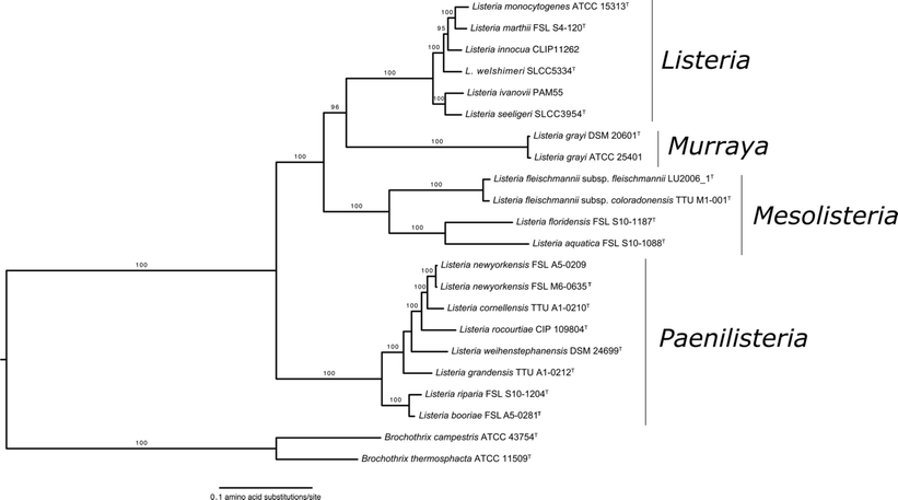 Characteristics and distribution of Listeria spp., including Listeria ...