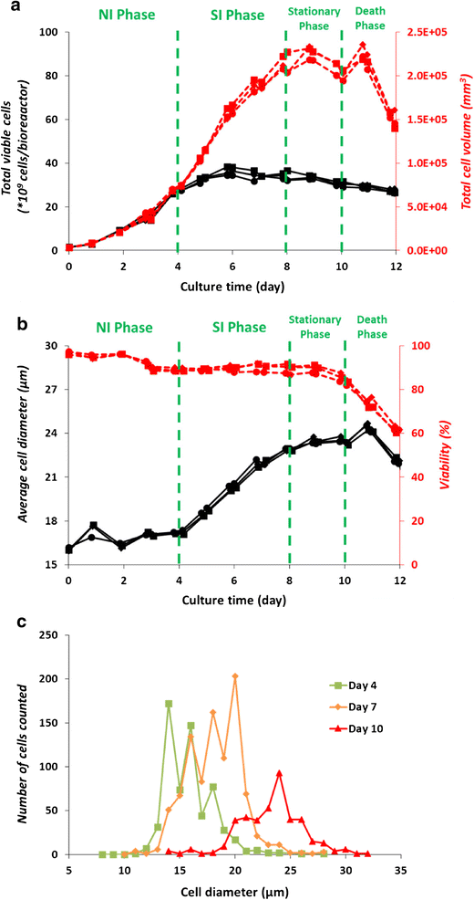 Metabolic characterization of a CHO cell size increase phase in fed ...