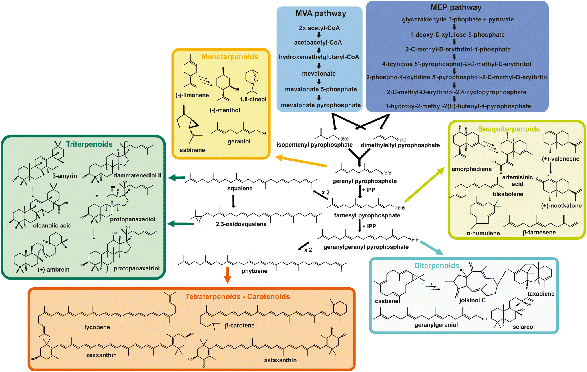 Identifying and engineering the ideal microbial terpenoid production ...