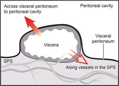 The subperitoneal space and peritoneal cavity: basic concepts ...