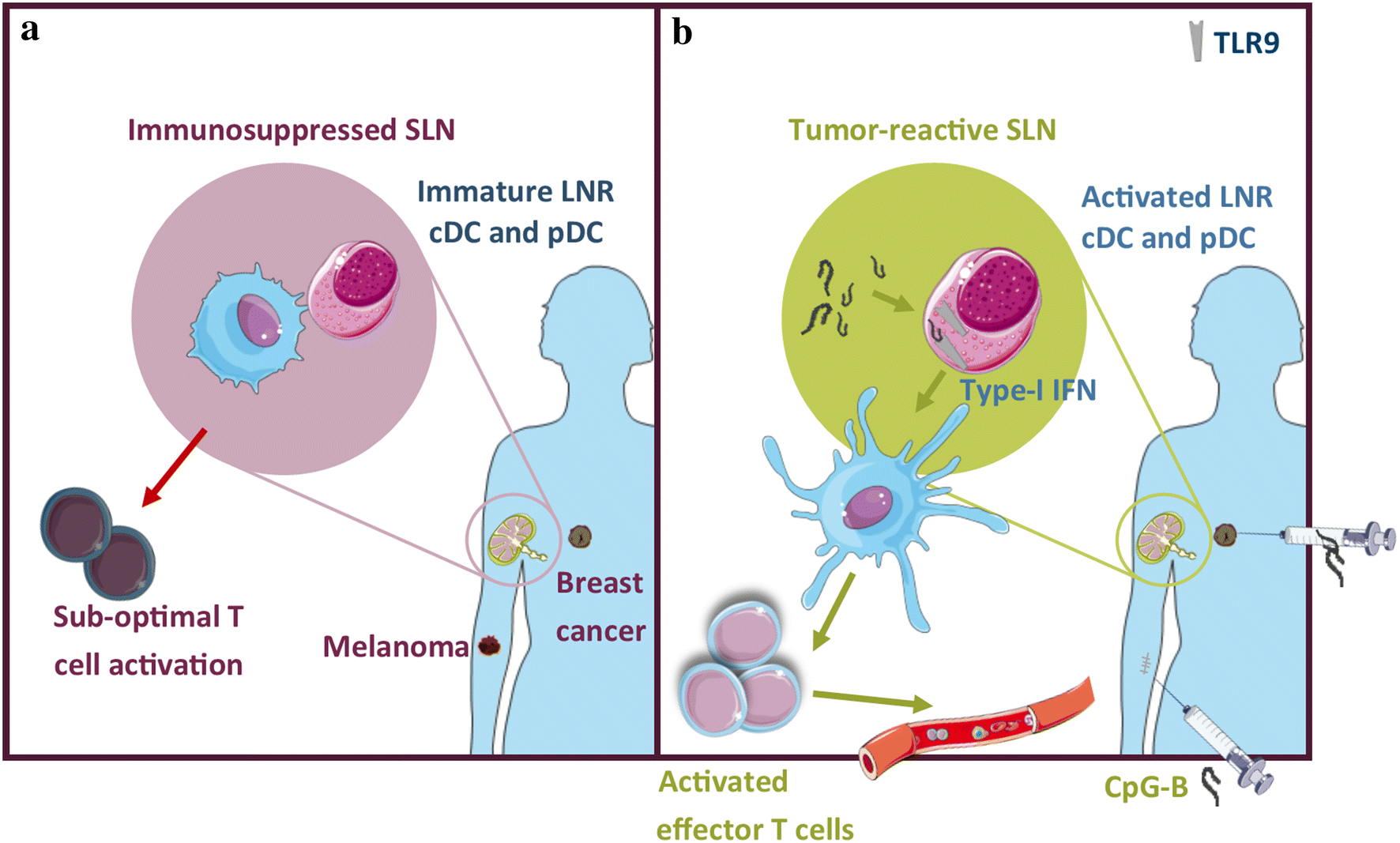Unlocking the therapeutic potential of primary tumor-draining lymph ...