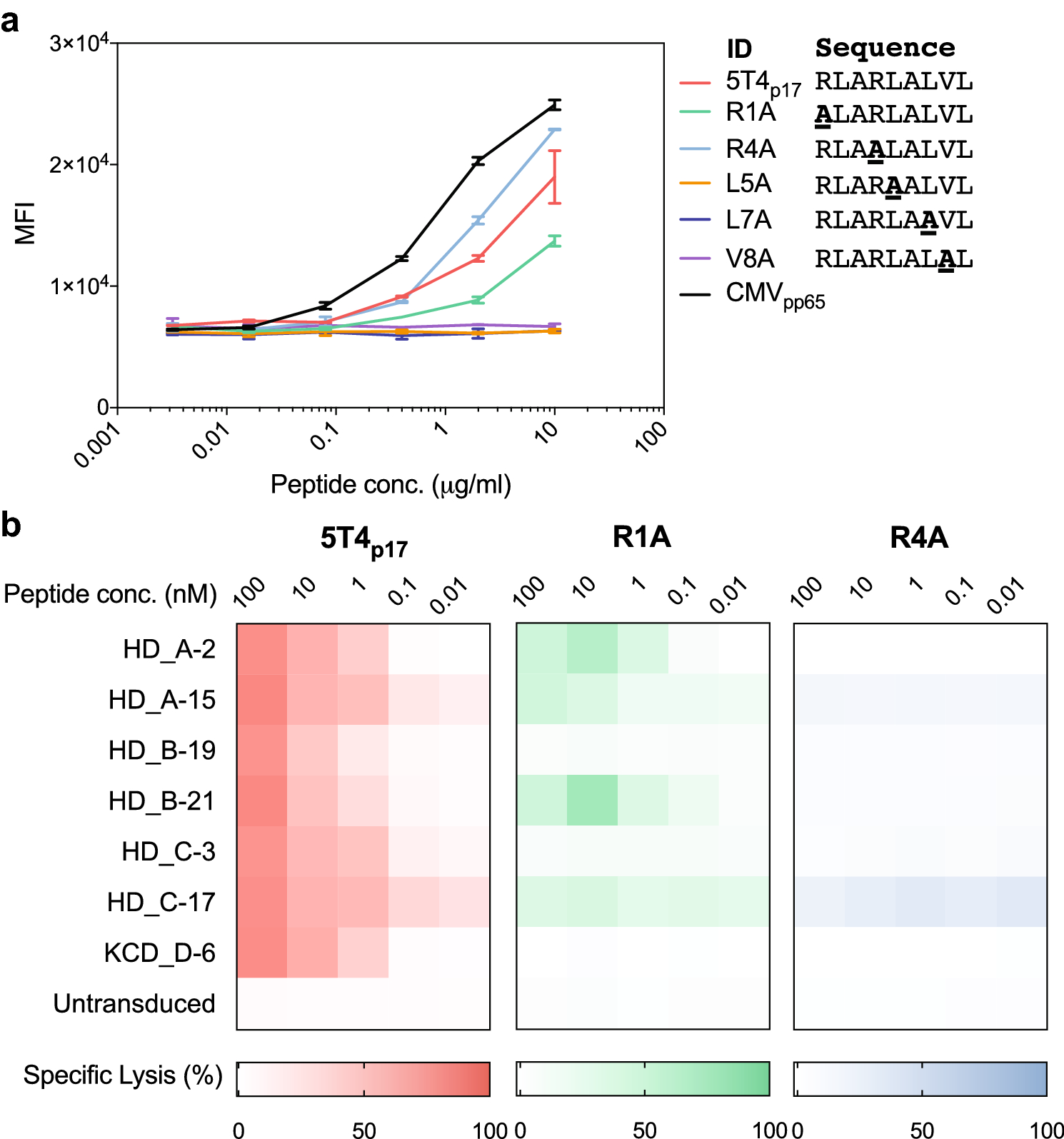 Preclinical development of T-cell receptor-engineered T-cell therapy ...