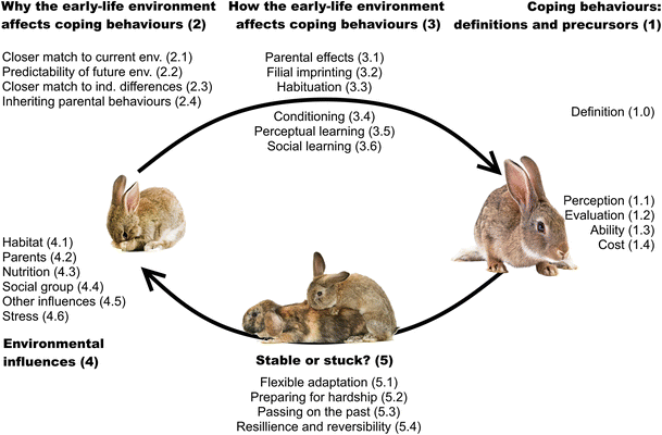 Why and how the early-life environment affects development of coping ...
