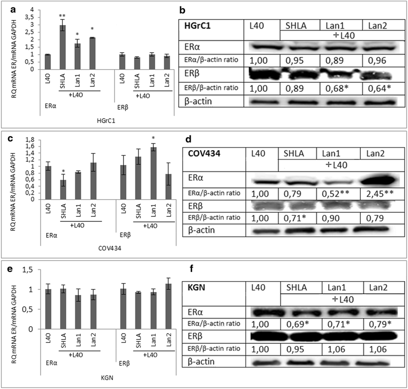 Superactive human leptin antagonist (SHLA), triple Lan1 and quadruple ...