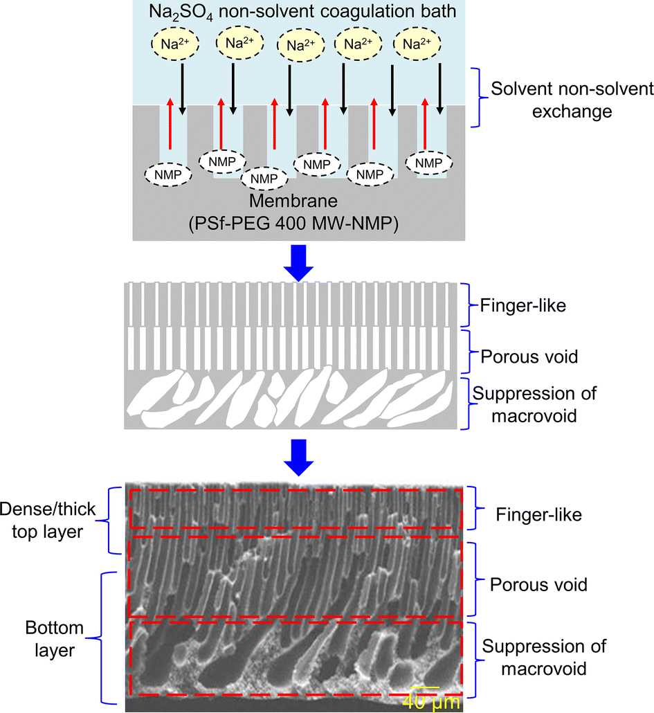 Effect of monovalent and divalent ions in non-solvent coagulation bath ...