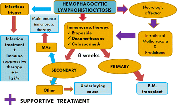 Hemophagocytic lymphohistiocytosis in a patient with Sjögren’s syndrome ...