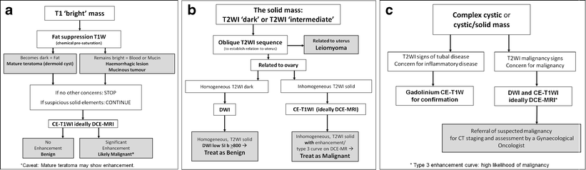 ESUR recommendations for MR imaging of the sonographically ...