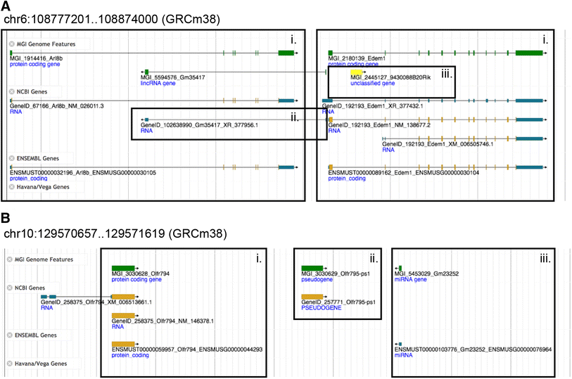 A unified gene catalog for the laboratory mouse reference genome ...