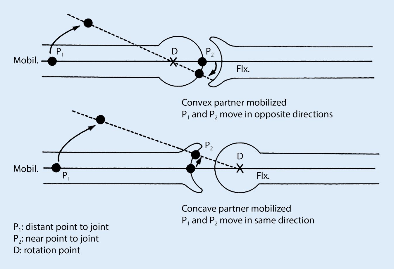 European core curriculum “Manual Medicine” | SpringerLink