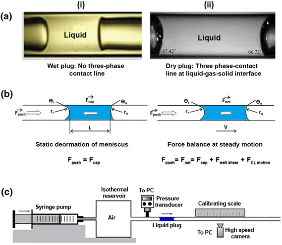 Motion of an isolated liquid plug inside a capillary tube: effect of ...