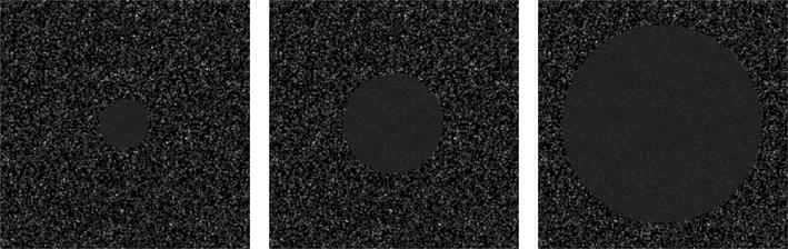 Automated mask generation for PIV image analysis based on pixel intensity statistics | SpringerLink