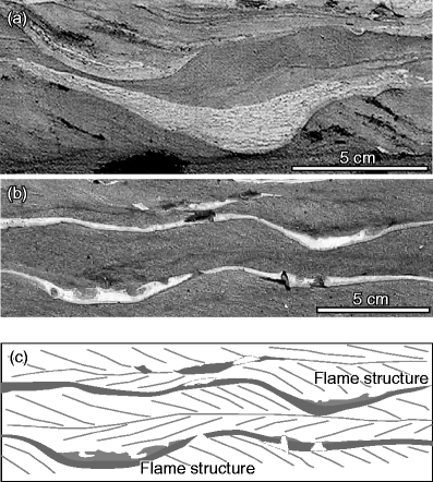 Generation of tidal bedding in a circular flume experiment: formation ...