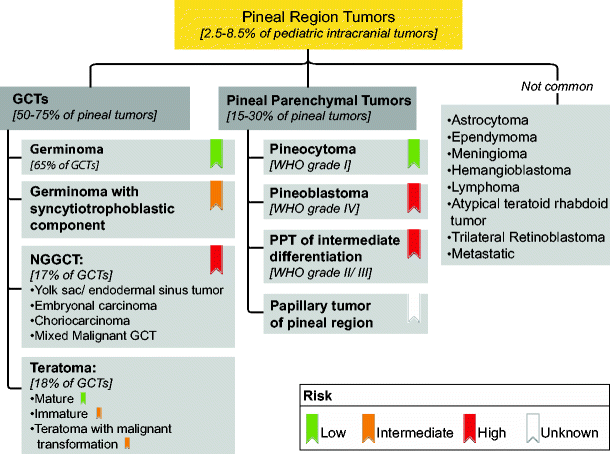 Pineal region tumors: a simplified management scheme | SpringerLink