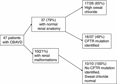Congenital absence of the vas deferens and unilateral renal agenesis ...