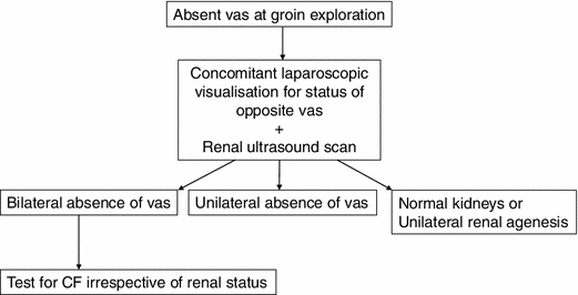 Congenital absence of the vas deferens and unilateral renal agenesis ...