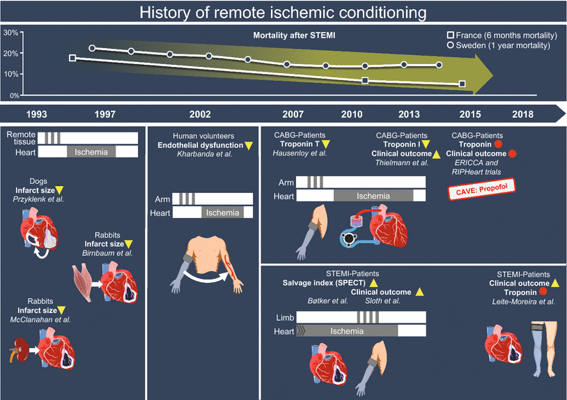 25 years of remote ischemic conditioning: from laboratory curiosity to ...
