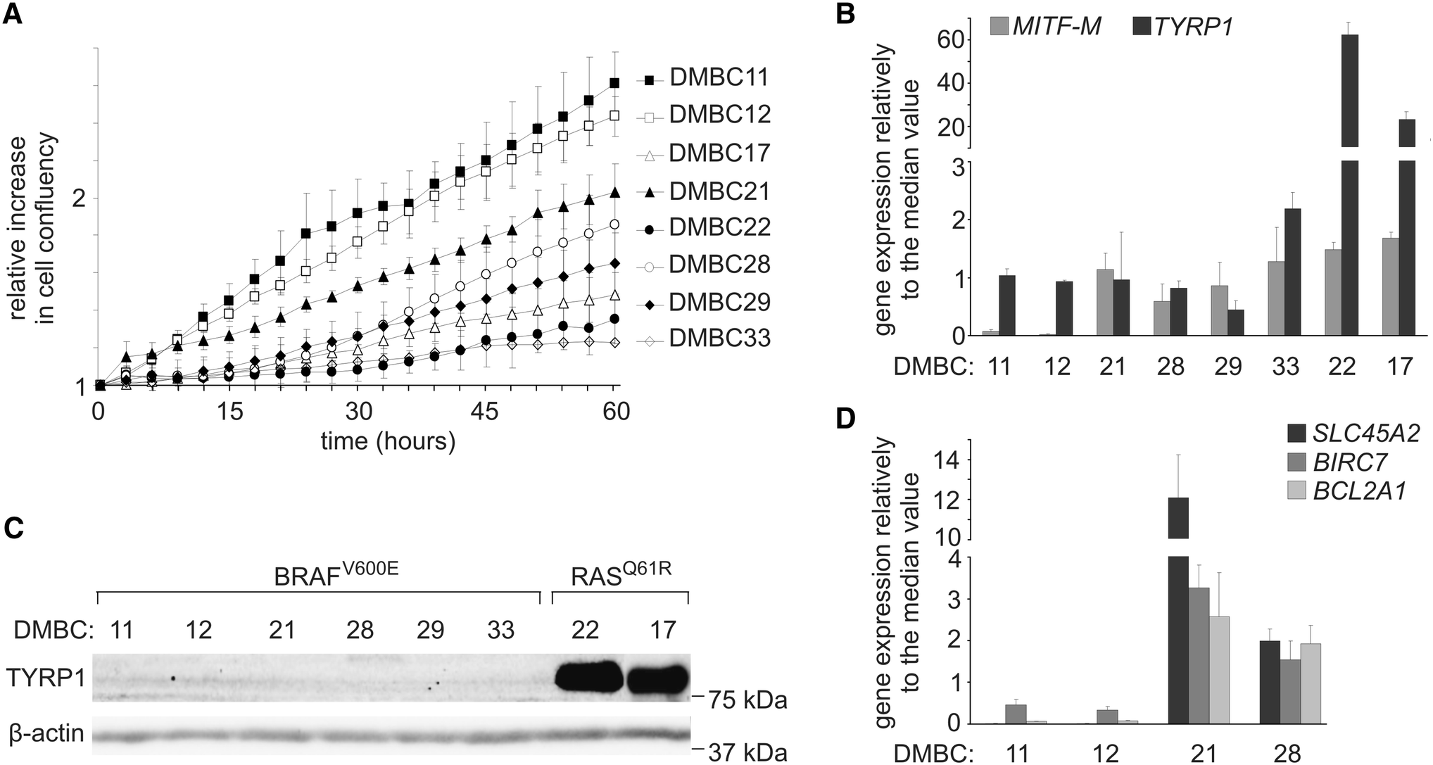 TYRP1 mRNA level is stable and MITF-M-independent in drug-naïve ...