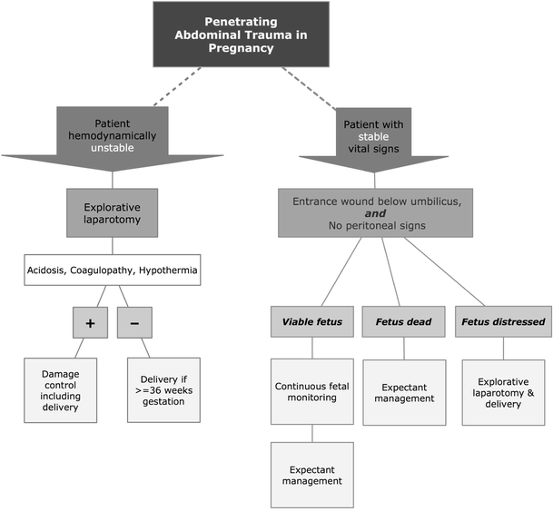Trauma in pregnancy | SpringerLink