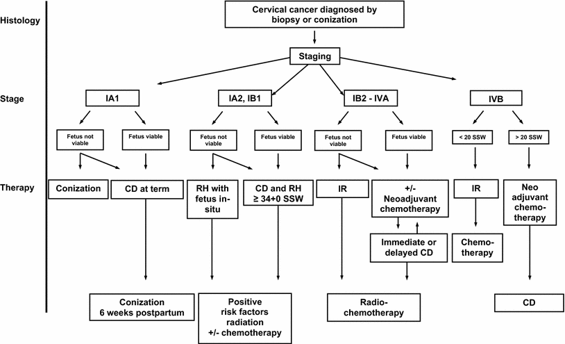 Individual management of cervical cancer in pregnancy | SpringerLink