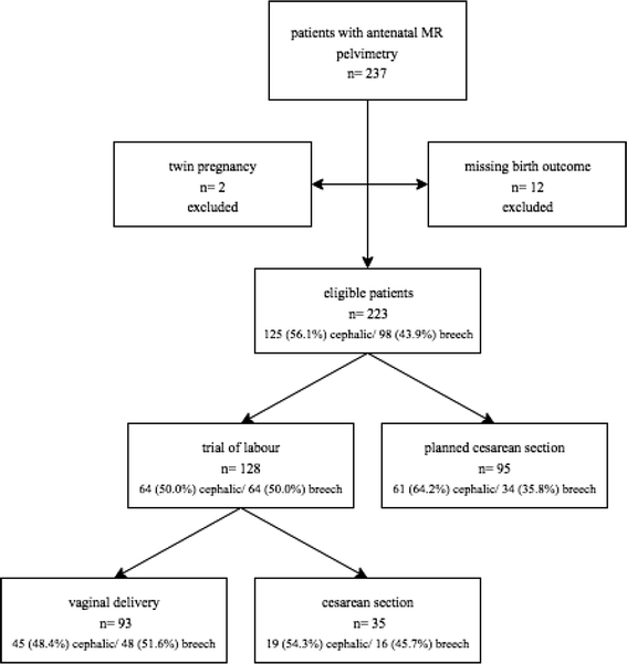 MR pelvimetry: prognosis for successful vaginal delivery in patients ...