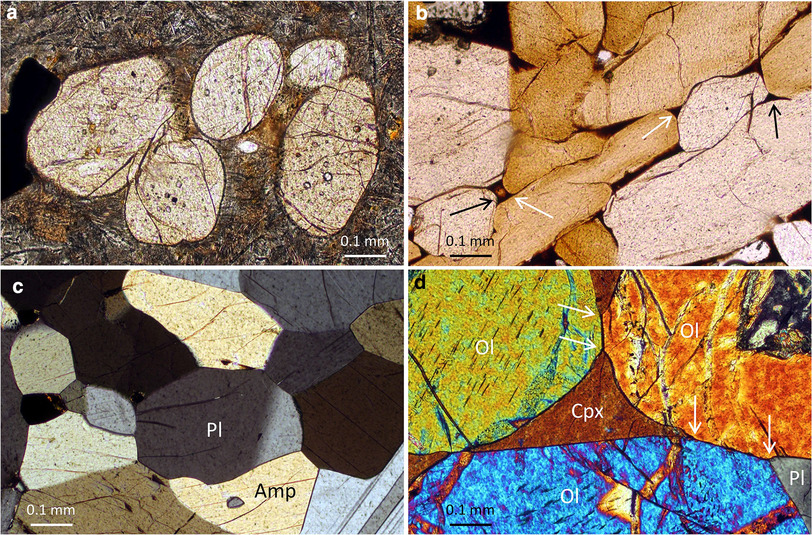 How deceptive are microstructures in granitic rocks? Answers from ...