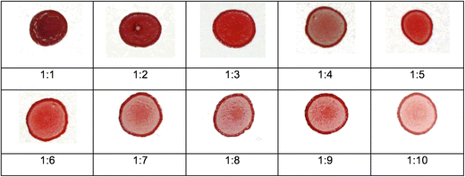 The ring phenomenon of diluted blood droplets | SpringerLink