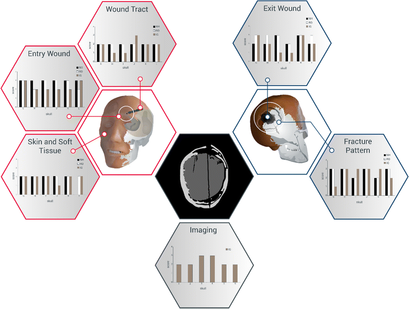 Ballistic impacts on an anatomically correct synthetic skull with a ...